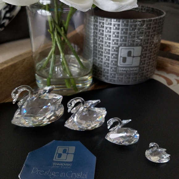 Swarovski | Accents | Authentic Swarovski Swan Figurines Set Of 4 In ...